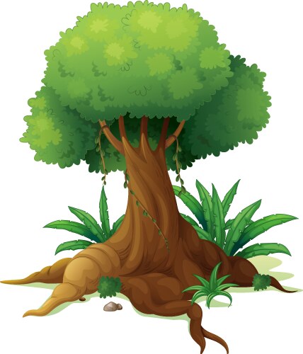 Tree Pic Vector Images (over 800)