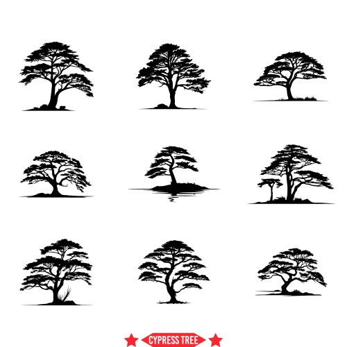 Cypress Tree Vector Images (over 3,800)