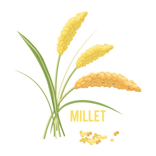 Millet Logo Vector Images (over 410)
