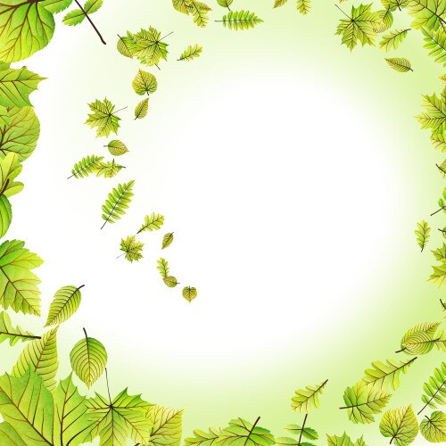 Frame of leaves Royalty Free Vector Image - VectorStock