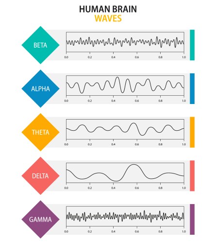 Brain Waves Vector Images (over 2,300)