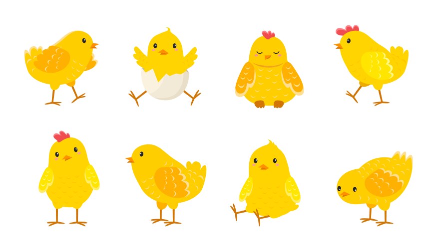 Easter Chicks Vector Images (over 16,000)