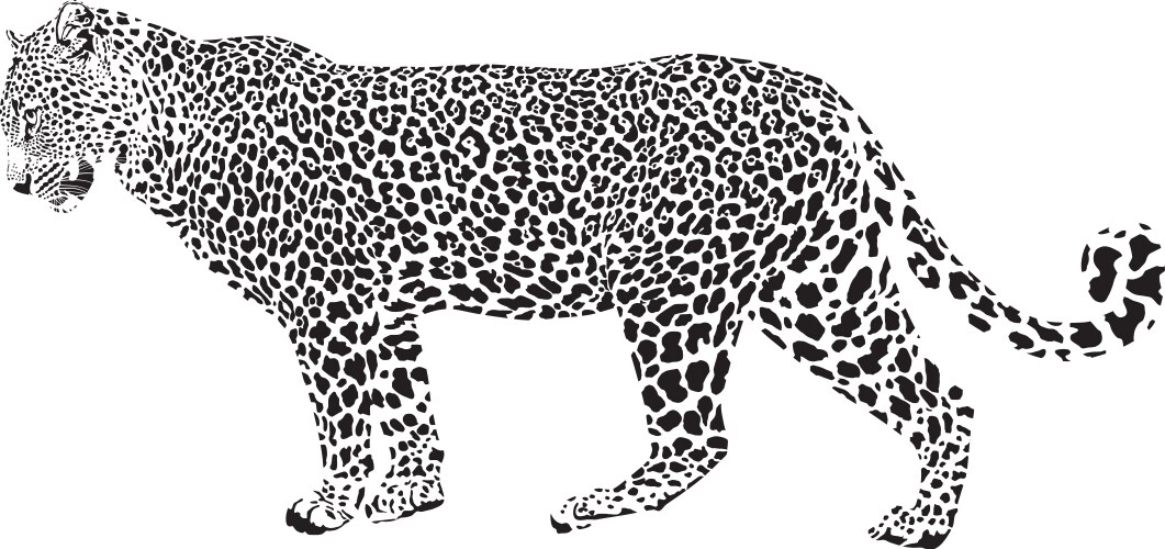 Symbol africa in leopard camouflage Royalty Free Vector