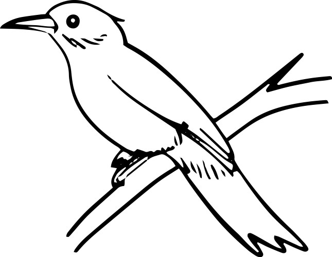 Free Bird Outline Vector Images (over 1,600)