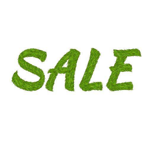 Spring text and isolated white background Vector Image