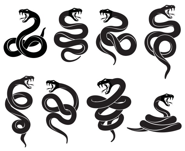 Snakes Vector Images (over 66,000)