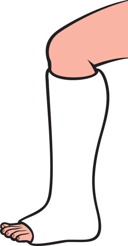 Foot Royalty Free Vector Image - VectorStock