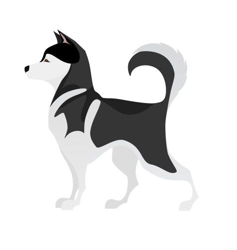 Dog head design siberian husky Royalty Free Vector Image