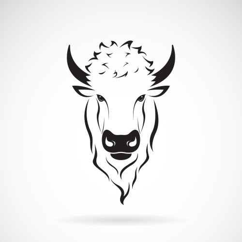 Buffalo head design on white background wild Vector Image