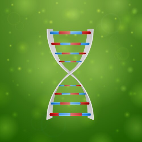 Dna and rna Royalty Free Vector Image - VectorStock