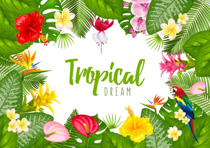 Summer tropical frame design Royalty Free Vector Image