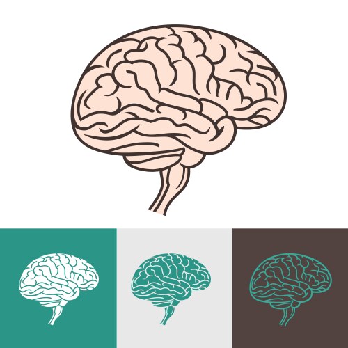 Human Brain Vector Images (over 110,000)