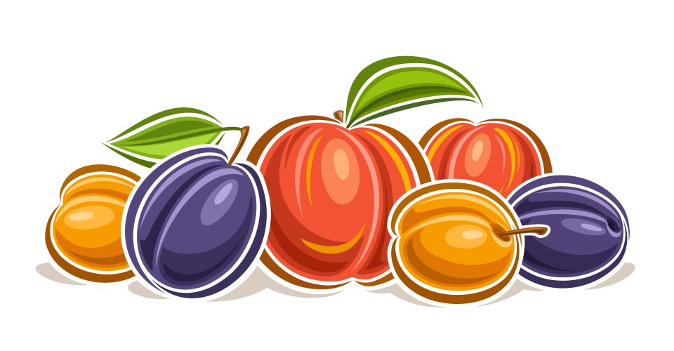 Sour Plum Fruit Vector Images (over 450)