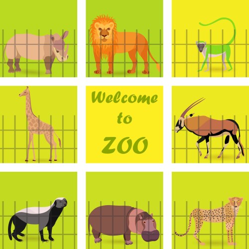 Tiger zoo Royalty Free Vector Image - VectorStock