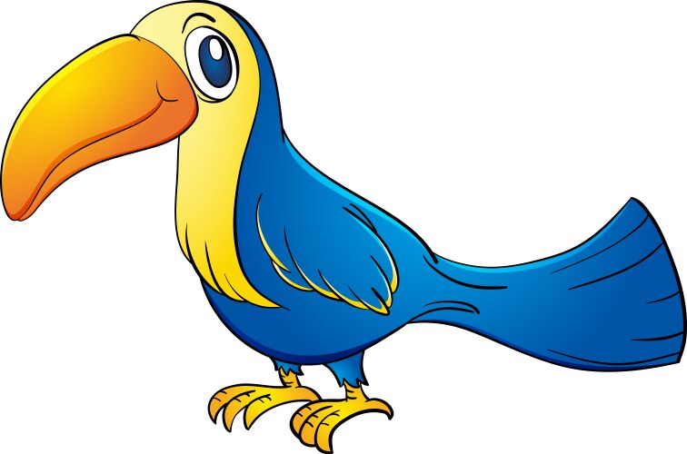 Cute toucan on white background Royalty Free Vector Image