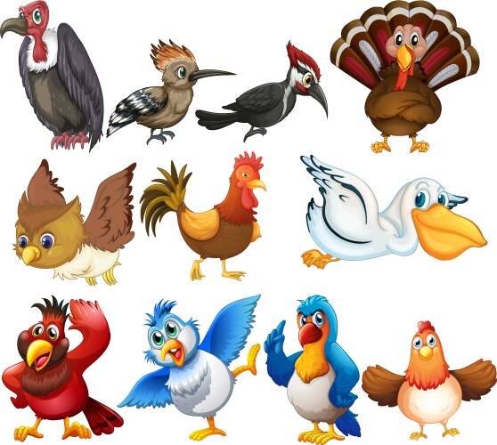 Bird Vector Images (over 540,000)