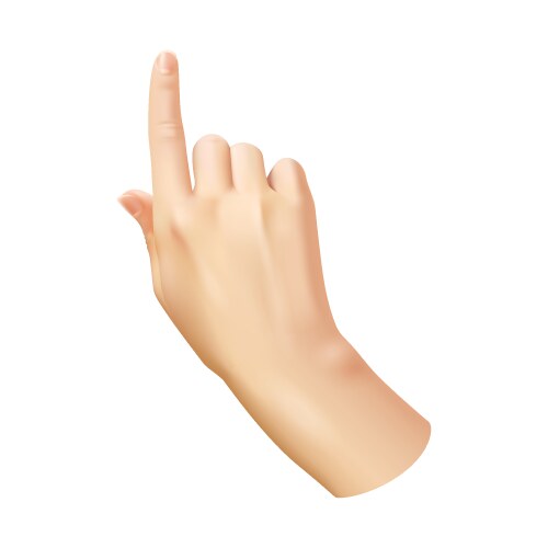 Hands realistic gestures human palms and fingers Vector Image