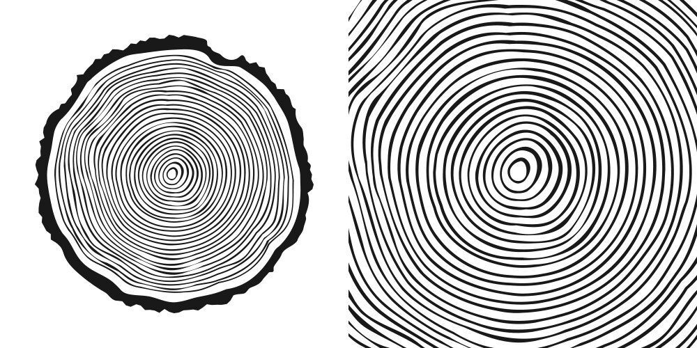 Oak Tree Vector Images (over 52,000)