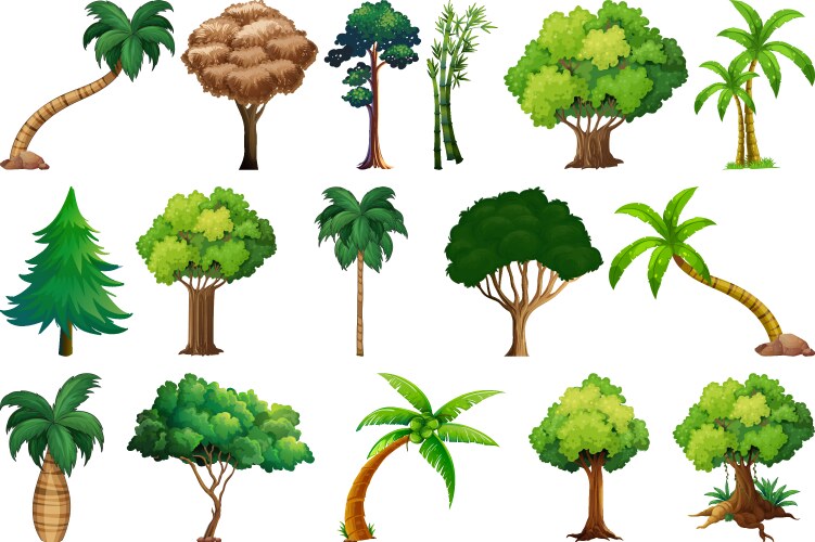 Cartoon isolated forest and garden trees Vector Image