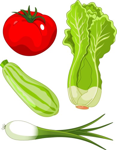 Cook Royalty Free Vector Image - VectorStock