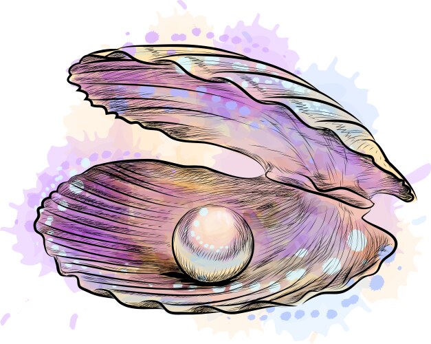 Oyster Pearl Vector Images (over 4,200)