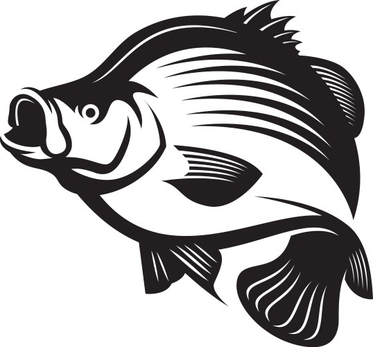 Crappie Vector Images (over 250)