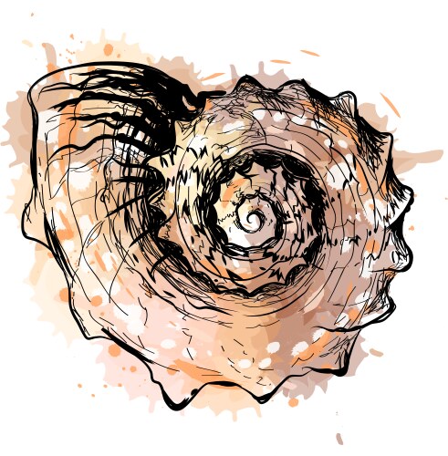 Sea Splash Vector Images (over 44,000)