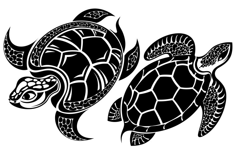 Sea turtle Royalty Free Vector Image - VectorStock