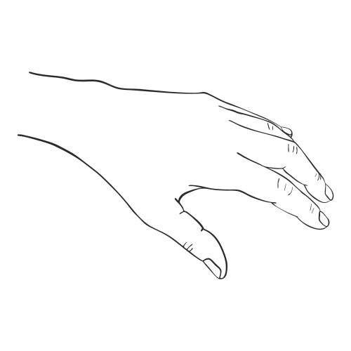 Woman hand outline drawing Royalty Free Vector Image