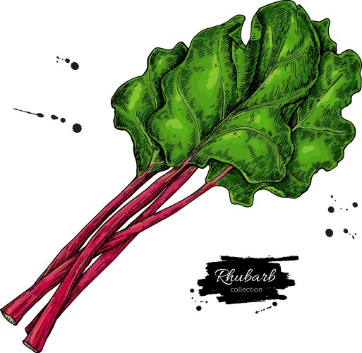 Christmas object set hand drawn Royalty Free Vector Image