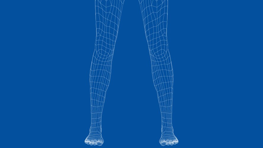 Wireframe leg close-up view Royalty Free Vector Image
