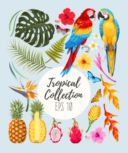 Tropical Vector Images (over 940,000)