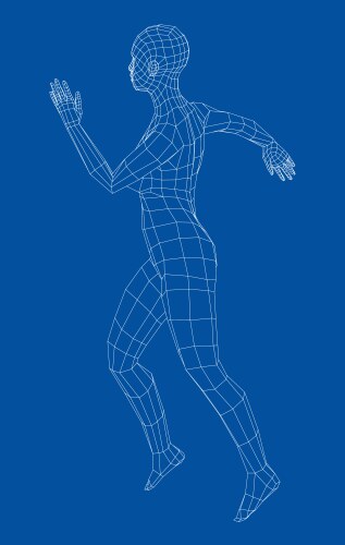 Wireframe ballerina in dance pose Royalty Free Vector Image