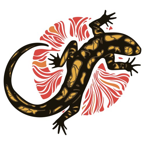 Lizard Drawing Vector Images (over 12,000)
