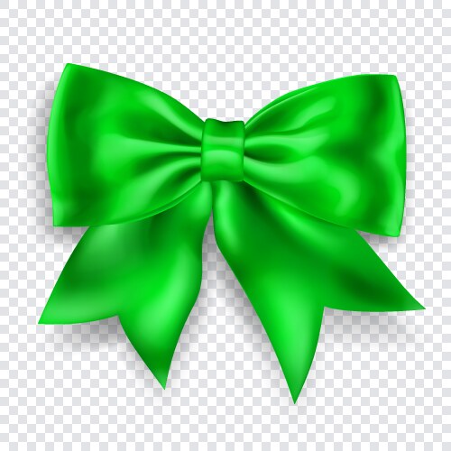 Beautiful big bow Royalty Free Vector Image - VectorStock