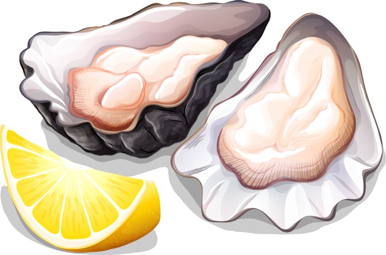 Oyster Vector Images (over 17,000)