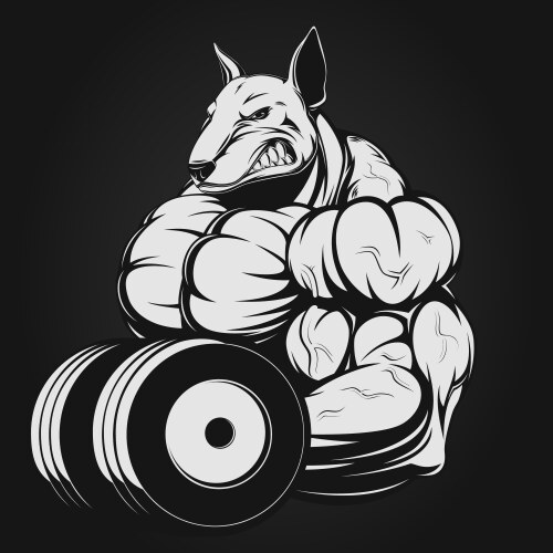 Strong bear Royalty Free Vector Image - VectorStock