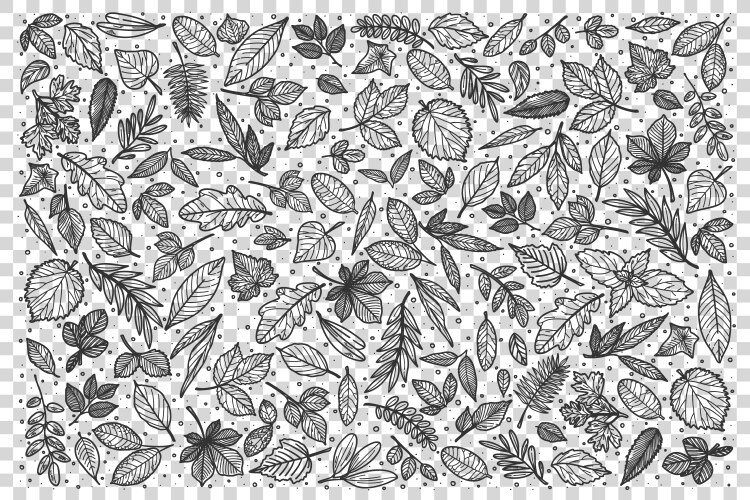 Doodle Leaves Vector Images (over 69,000)