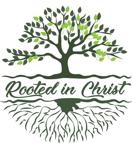 Rooted in christ on white background christian Vector Image