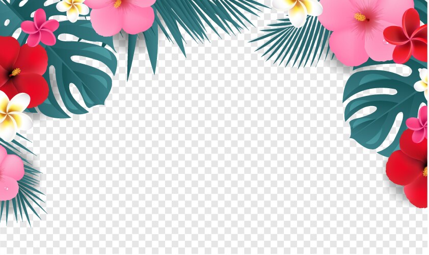 Summer Border Vector Images (over 100,000)