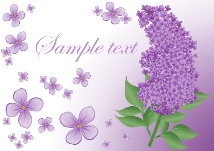 Lilac Vector Images (over 32,000)