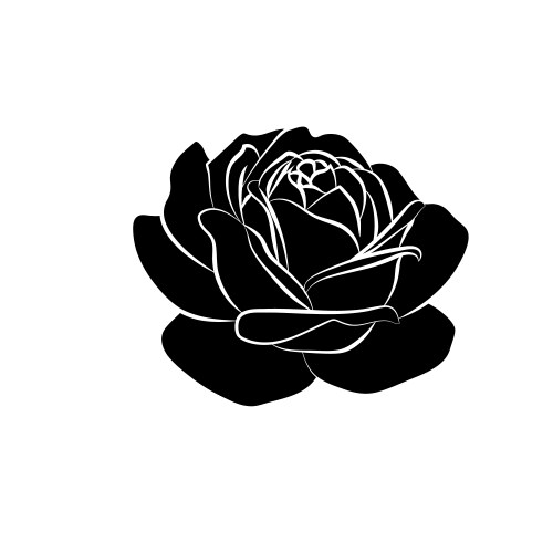 Roses silhouette pattern Royalty Free Vector Image