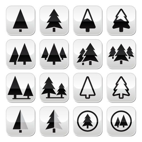 Pine tree icons set Royalty Free Vector Image - VectorStock