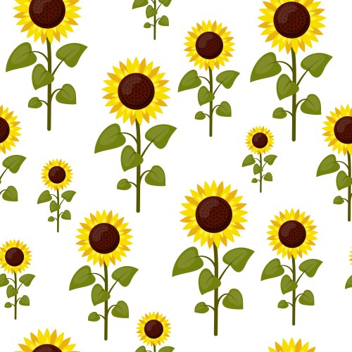 Sunflowers background Royalty Free Vector Image