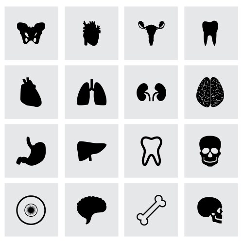 Grey anatomy icon set Royalty Free Vector Image