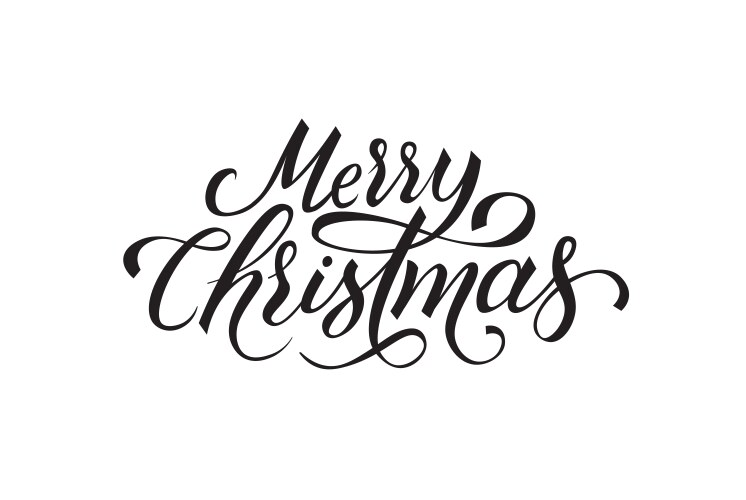 Flourish calligraphic design element page Vector Image