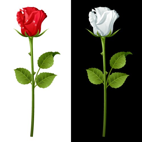 Rose Vector Images (over 330,000)