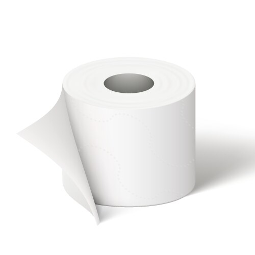 Realistic Paper Roll Mockup Royalty Free Vector Image