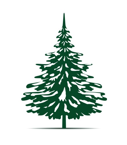 Spruce Vector Images (over 56,000)