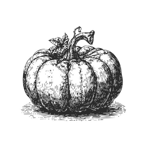 Ivy Vine Pumpkin Candle Sketch – Royalty-Free Vector | VectorStock